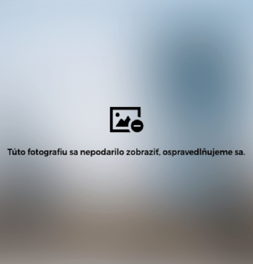 15 dôvodov, prečo sú všetky lesy pre nás tak dôležité | interez.sk