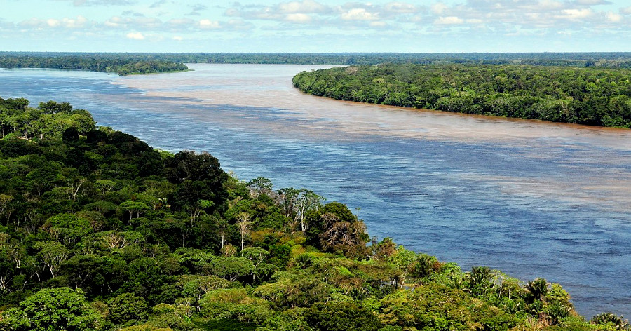 Prognóza pre Amazonský dažďový prales je naozaj zlá