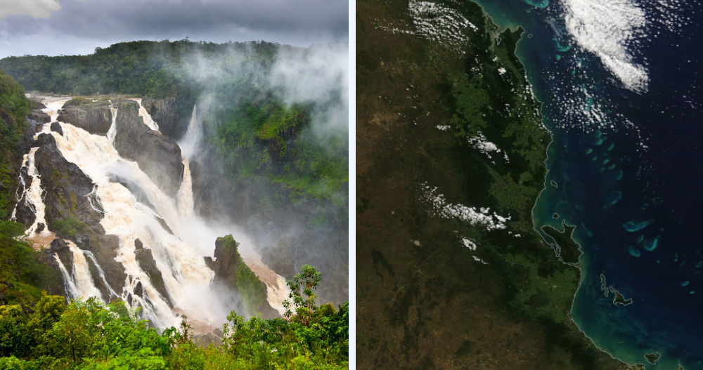 V Austrálii mizne najstarší dažďový prales na svete | interez.sk