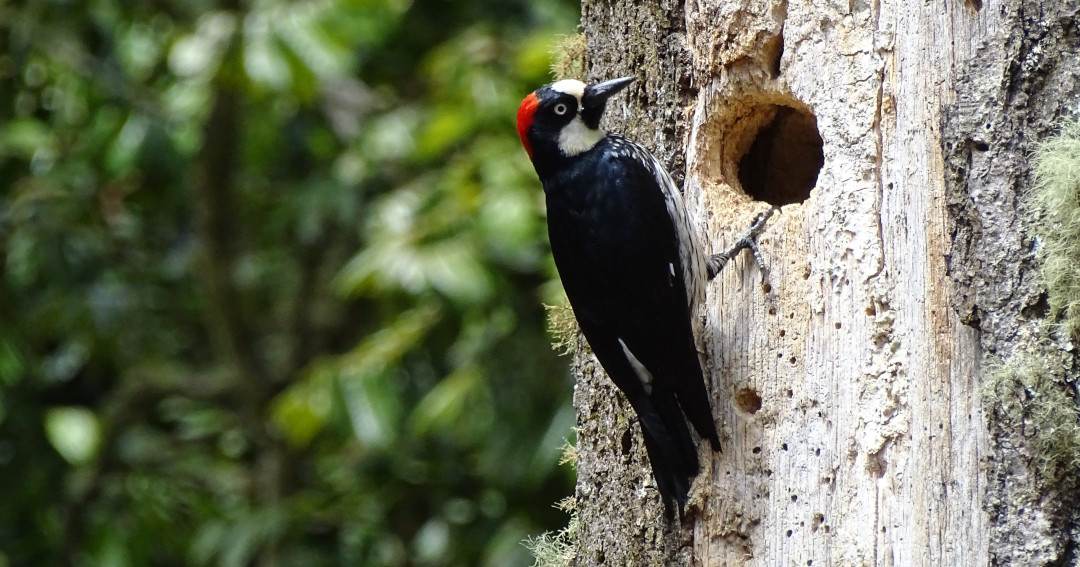 Tri rokliny: Najväčšia vodná elektráreň na svete | interez.sk