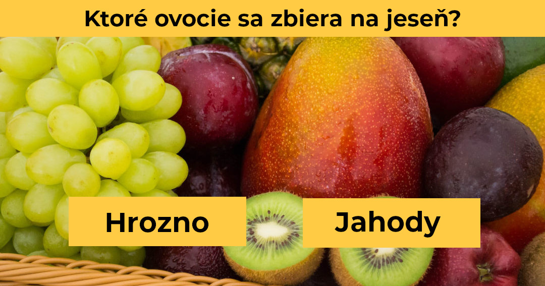 Ako dobre poznáte jeseň? Tento kvíz by mal na 100 % zvládnuť každý milovník najfarebnejšieho ...