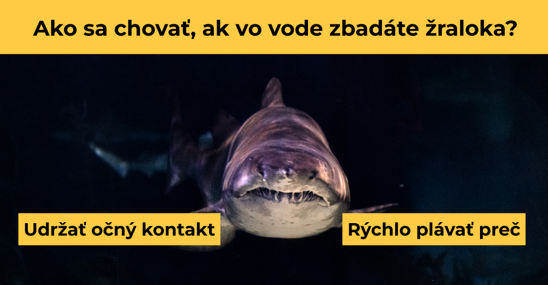 Dokážete prežiť v rizikových situáciách? Tento kvíz zvládne urobiť na ...