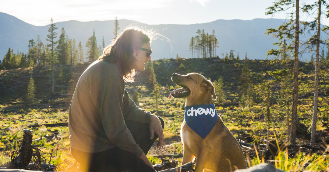 So psom sa do TANAP-u pravdepodobne už nedostanete: Prísna zmena návštevného poriadku je na ...