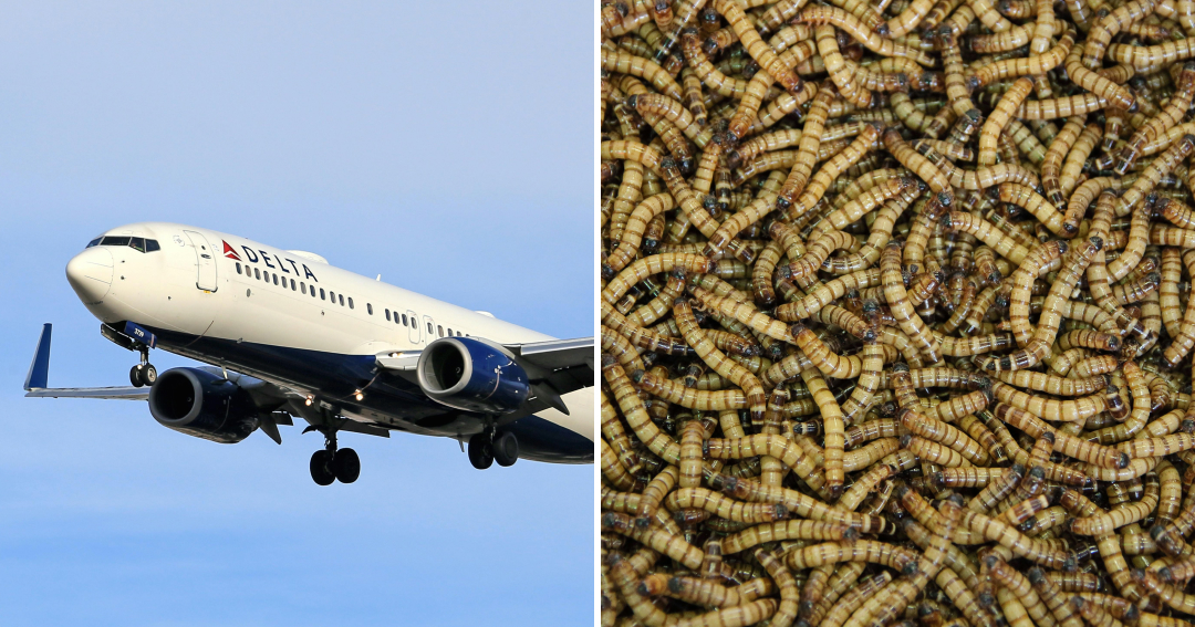 Let sa zmenil na drámu: Nad hlavami cestujúcich začali vyliezať veľké ...