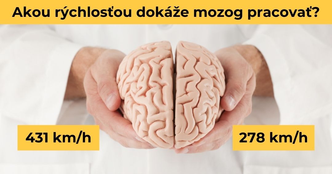 Kvíz o ľudskom mozgu: Dá naozaj zabrať aj tým, čo mali z biológie samé ...