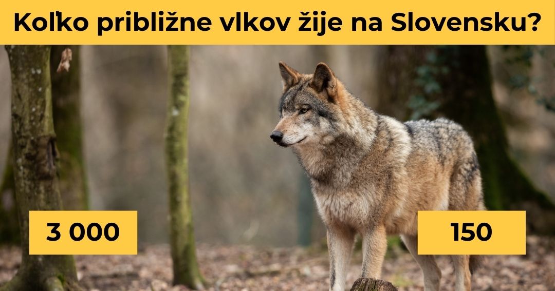 Fotogaléria - Kvíz o slovenskej faune: Poznáte zvieratá žijúce u nás tak dobre, ako si myslíte ...