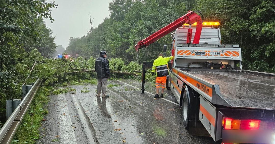 V severných regiónoch Slovenska vyčíňa vietor, padajú aj stromy. Do týchto oblastí sa valí orkán ...