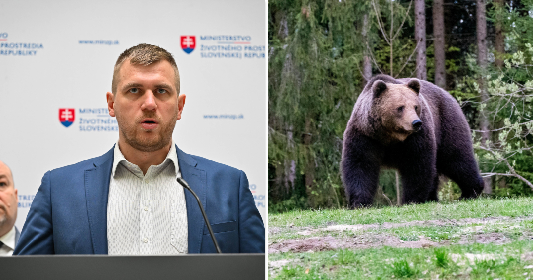 Kuffa priblížil, kedy budú môcť odstreliť medveďa hnedého: Takto majú ...