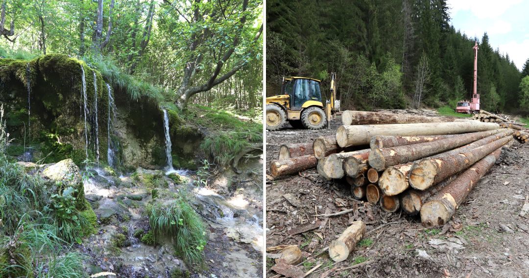 Hrozí, že Slovensko príde o chránené lokality Natura: Vo vzácnych ...