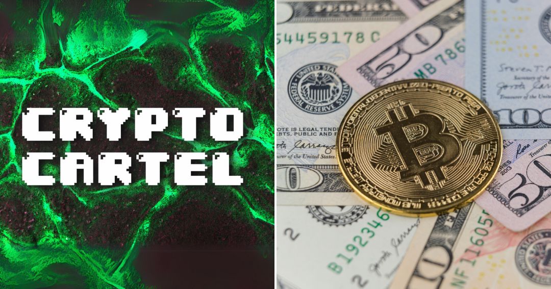 Tisci z komunity Crypto Cartel: Takto náš člen z ničoho zarobil 18 000 dolárov, v kryptomenách ...