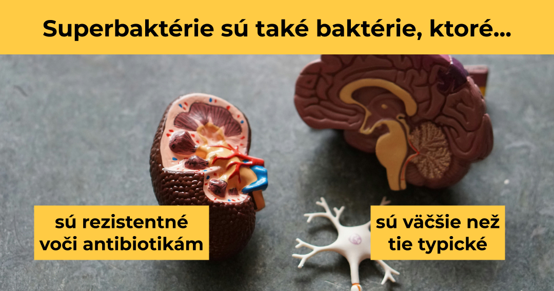 Stredoškolská biológia, ktorá vám zamotá hlavu: V tomto kvíze by vás ...