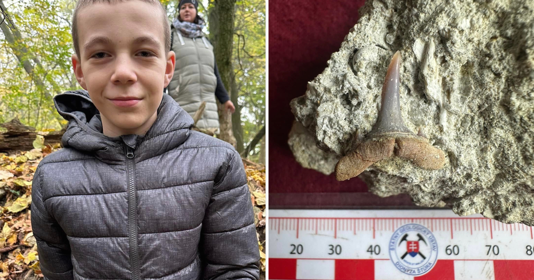 Objav 11-ročného paleontológa Jakuba sa stal virálny: Našiel ...