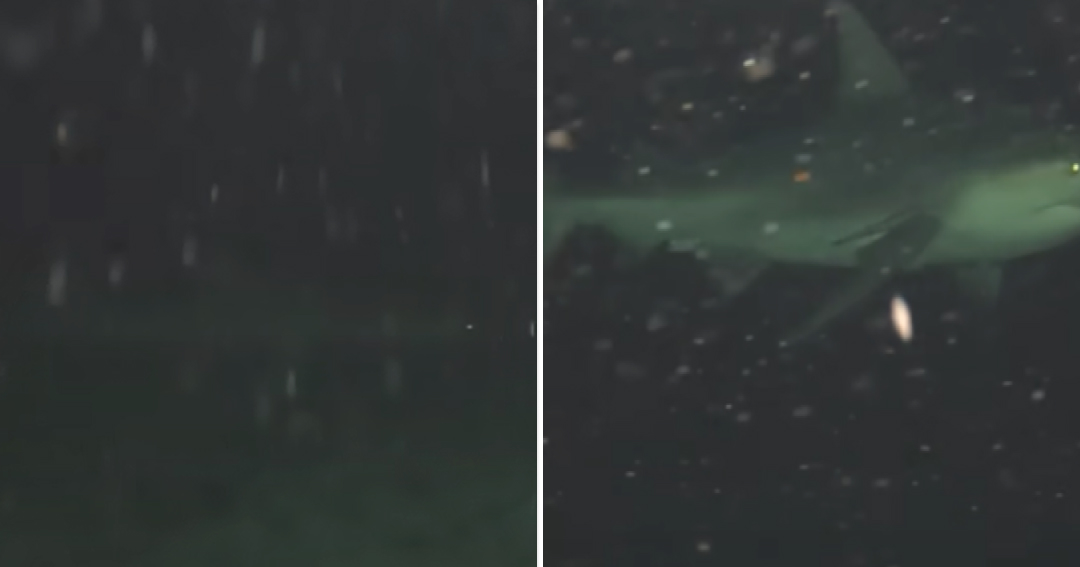 Muž spustil kameru do hlbín priamo pod loďou: Všetko sa zvrtlo, boli ...