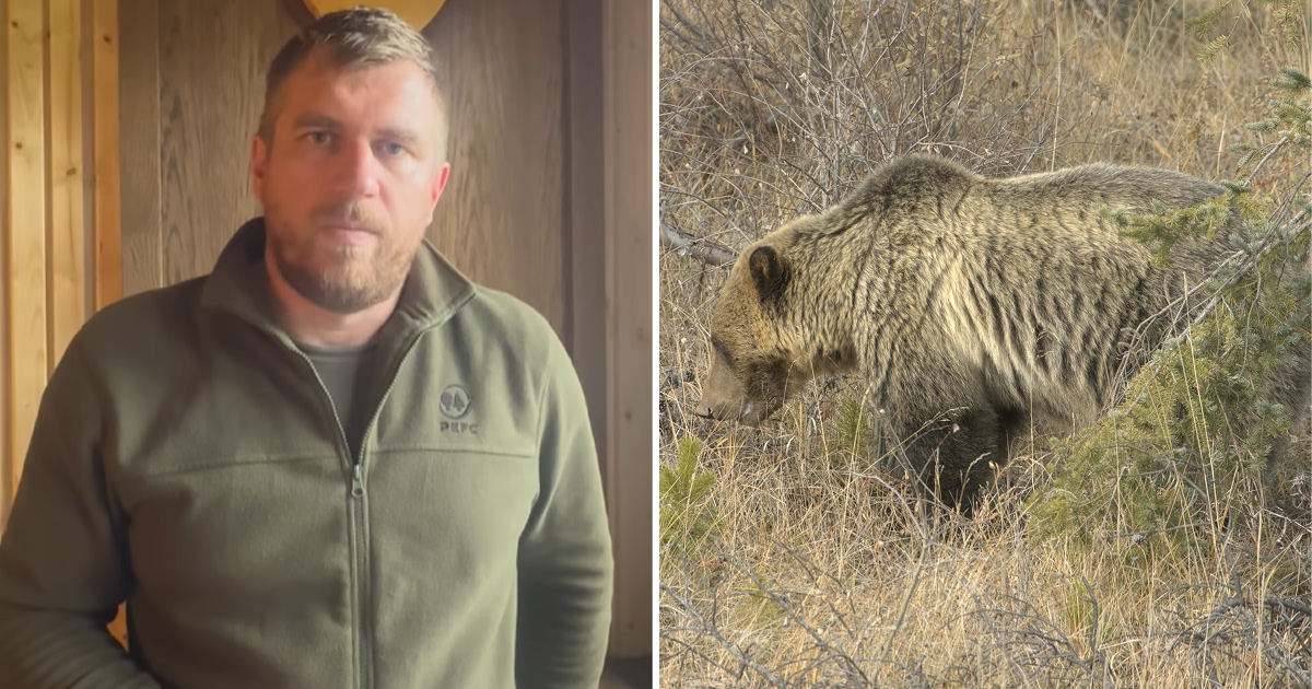 Guľáš z medveďa sa môže objaviť aj vo vašej obľúbenej reštaurácii ...