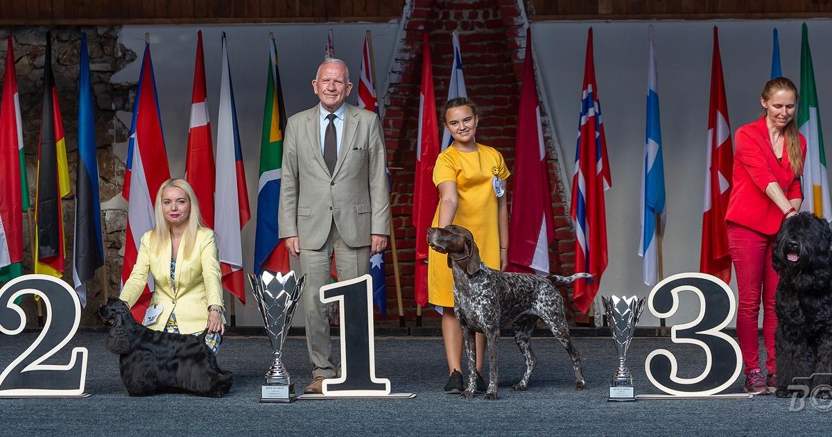 Uši nastražené, labky pripravené: Slovensko čaká unikátny festival, až ...